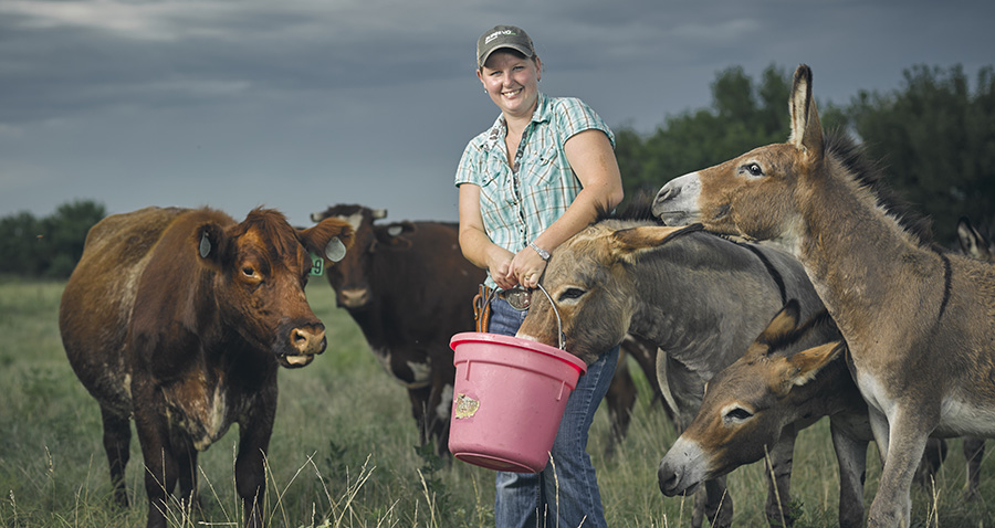 Guard donkeys | Kansas Living Magazine